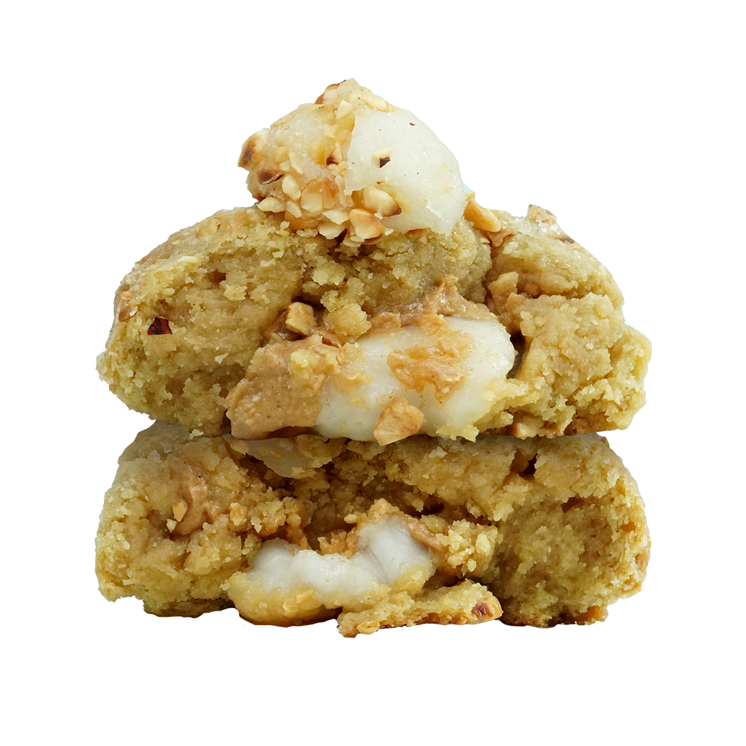 Shop Now – Nasty Cookie